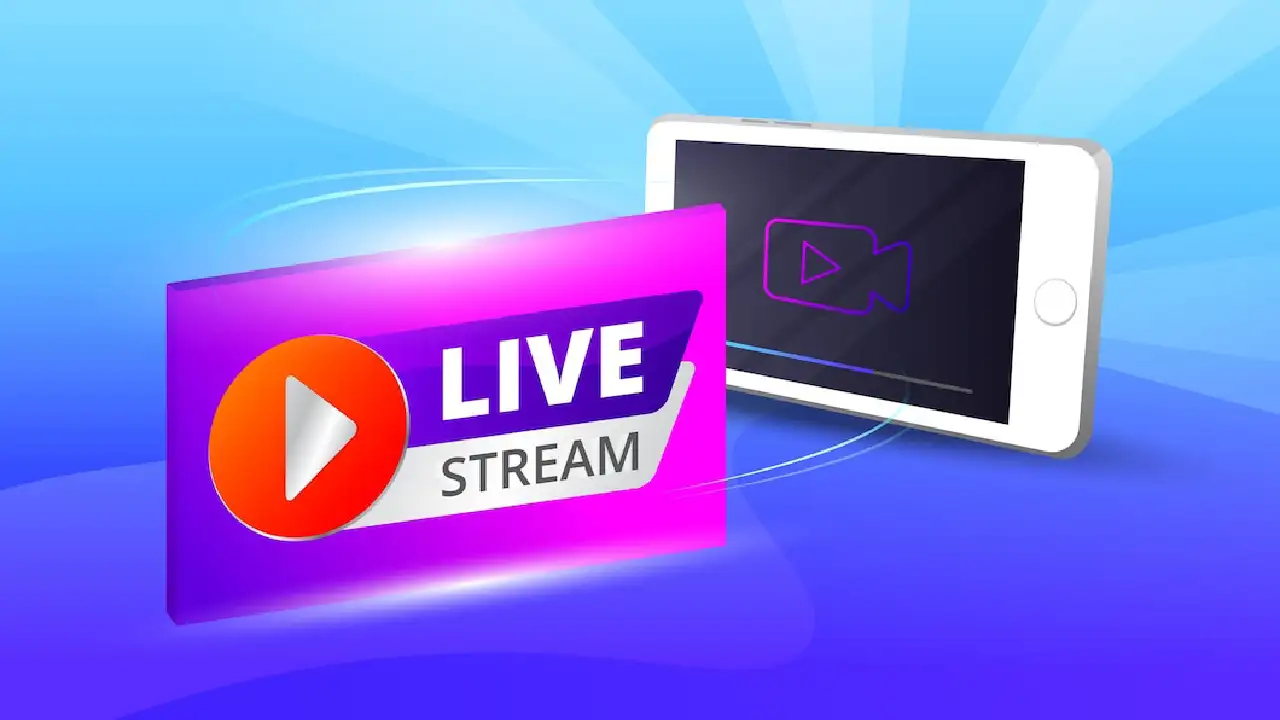 24/7 Live Streaming: Which Niches Are Suitable and How to Maximize ...